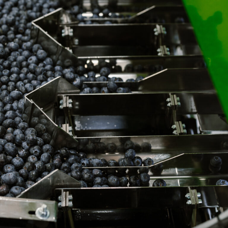 Blueberry sorter - Green Sort