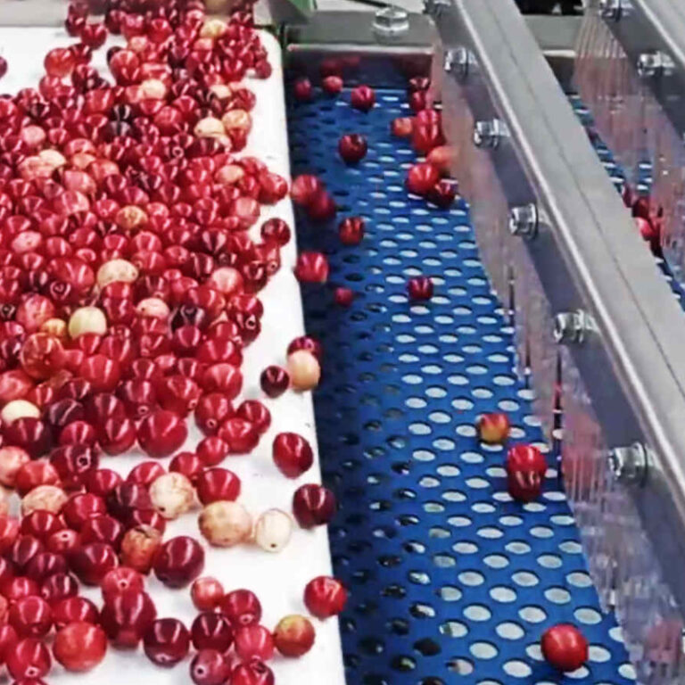 Blueberry sorter - Green Sort