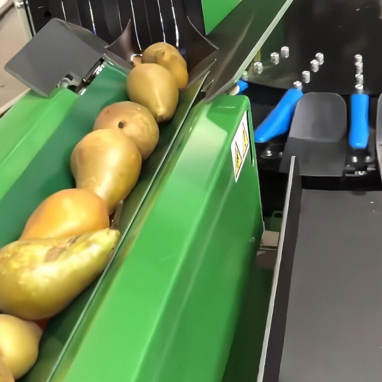 Fruit sorters - Green Sort