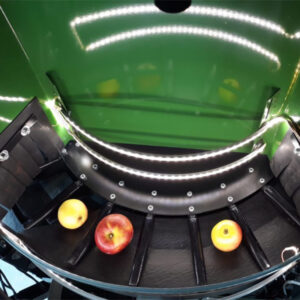 Fruit sorters - Green Sort