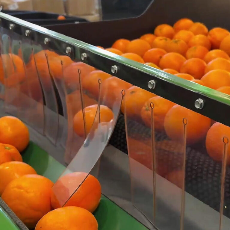 Fruit sorters - Green Sort