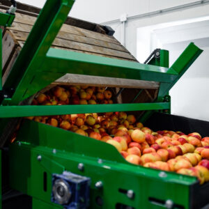 Fruit sorters - Green Sort